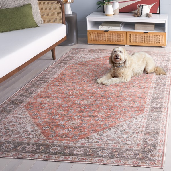 Runner Rugs | Runners | Hallway Rugs - Safavieh.com