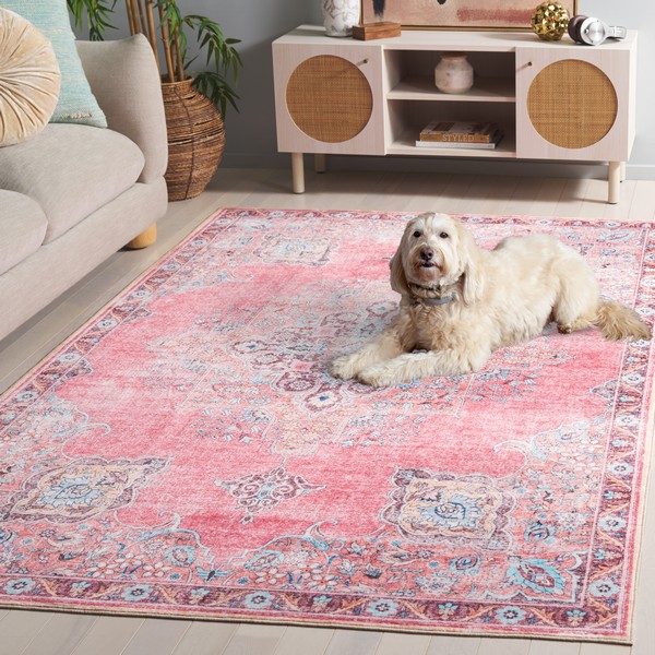Washable Rugs | Arizona Rug Collection - Safavieh