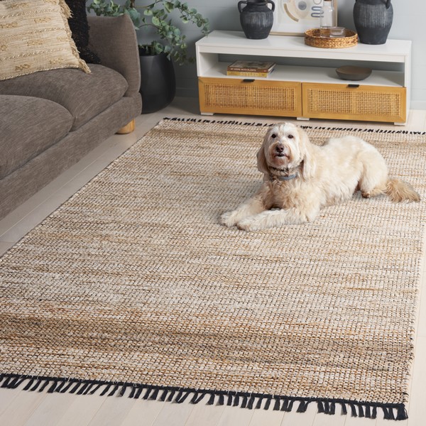 Rug CAP153A - Cape Cod Area Rugs by Safavieh
