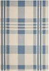 Blue Plaid Outdoor Area Rug - Safavieh.com