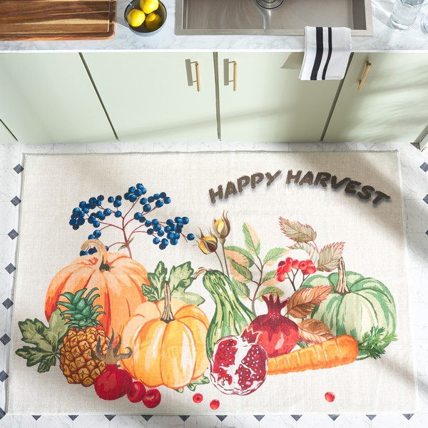 Door And Kitchen Mat DKM305B | Novelty Area Rugs - Safavieh