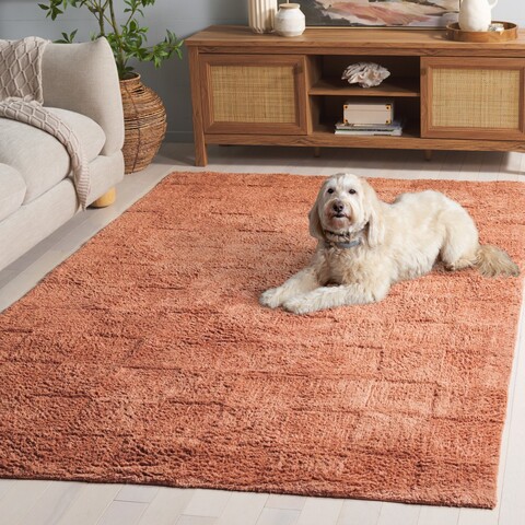Orange Rug | Rust-Colored Rugs - Safavieh.com