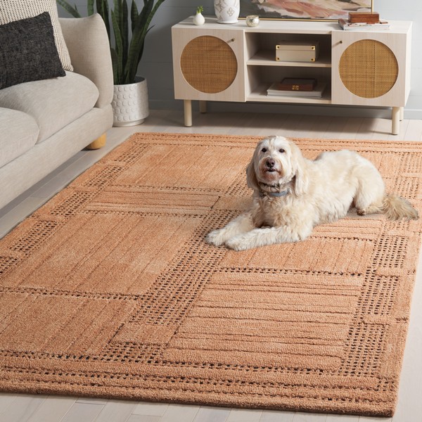 Orange Rug | Rust-Colored Rugs - Safavieh.com
