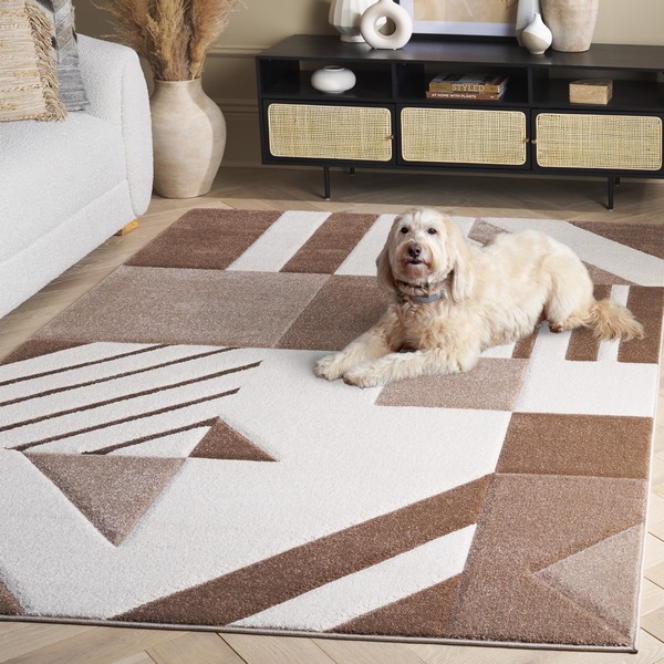 Mid Century Modern Rugs | Hollywood Rug Collection - Safavieh