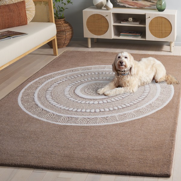 Shag Rugs | Plush Pile Shags - Safavieh.com Area Rugs