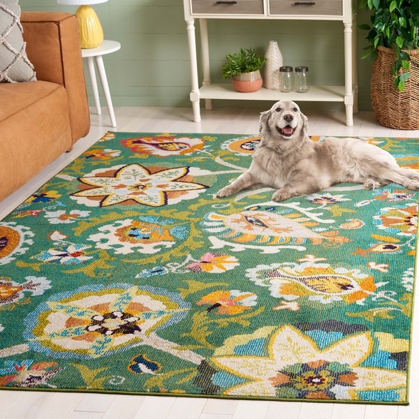 Monaco Rugs - Safavieh.com
