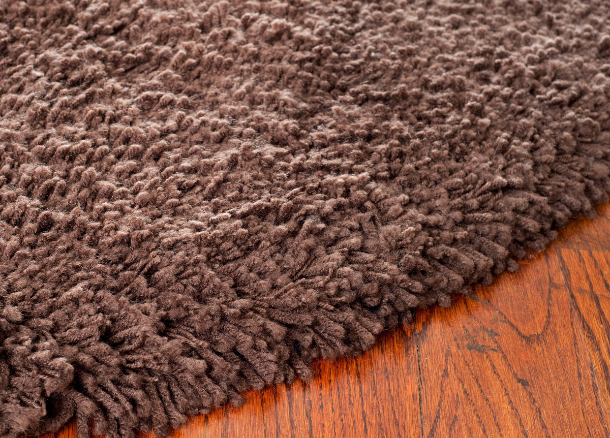 Plush Brown Shag Area Rug - Safavieh.com